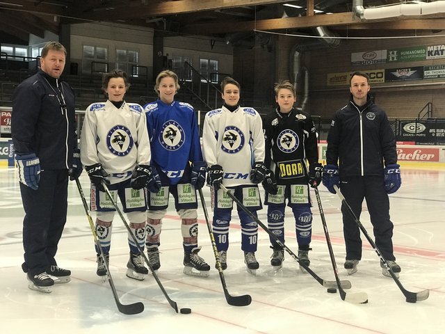 Eishockey Nachwuchs: Junge Adler wollen ins Halbfinale - Villach Land