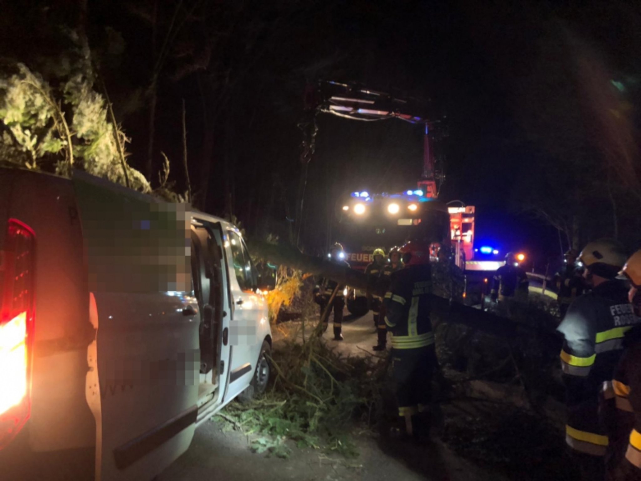 Sturm: Baum stürzt auf Kastenwagen - Horn