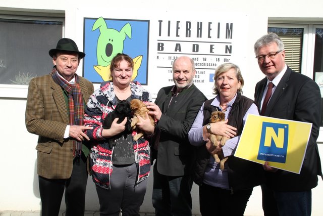 Land gibt Geld für den Tierschutzverein Baden - Baden