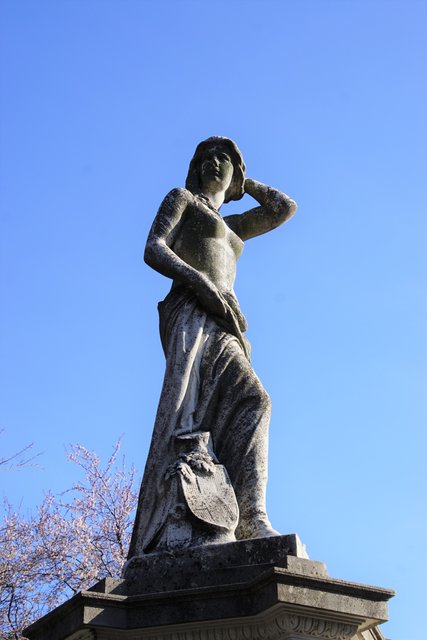 Donauweibchen: Wiener Stadtpark - Liesing