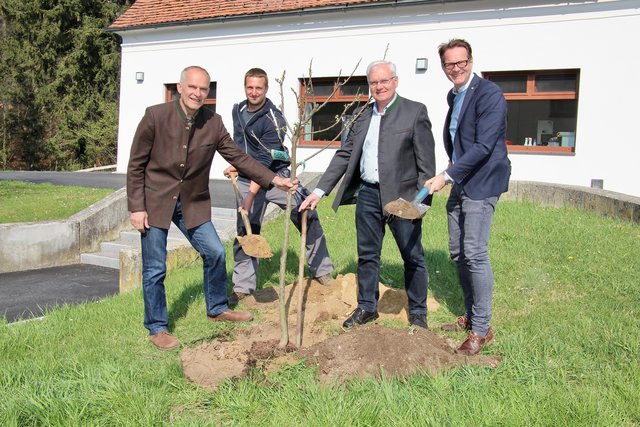 Eine Baumpflanzung mit einem weinenden Auge - Hartberg-Fürstenfeld