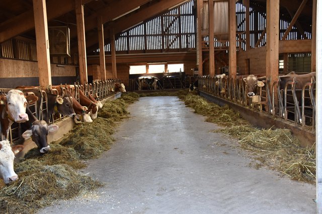 Jubiläum: 140 Jahre LLA Rotholz - Schwaz