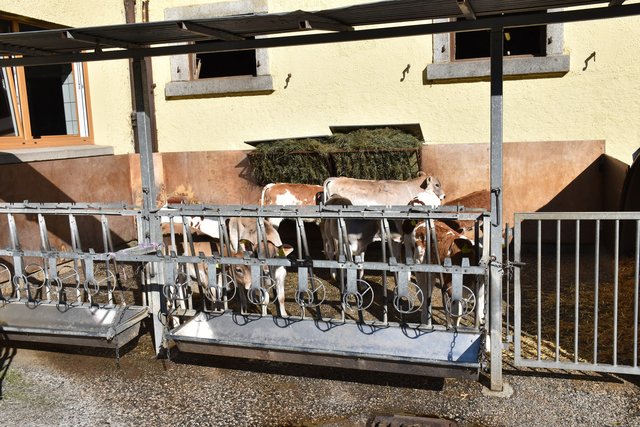 Jubiläum: 140 Jahre LLA Rotholz - Schwaz