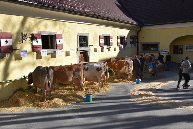 Jubiläum: 140 Jahre LLA Rotholz - Schwaz
