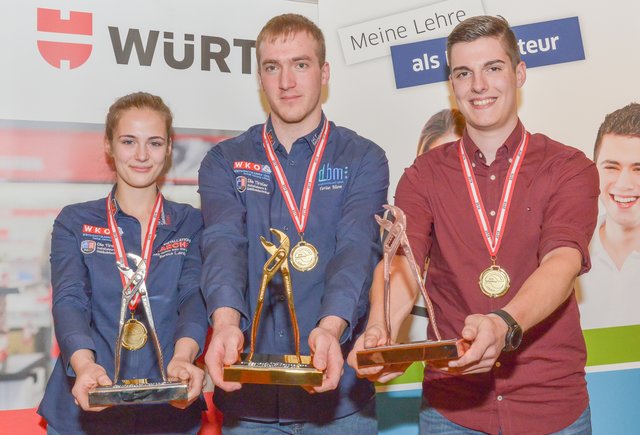 Bundes-Lehrlingsbewerb: Doppelsieg für Tiroler Installateure ...