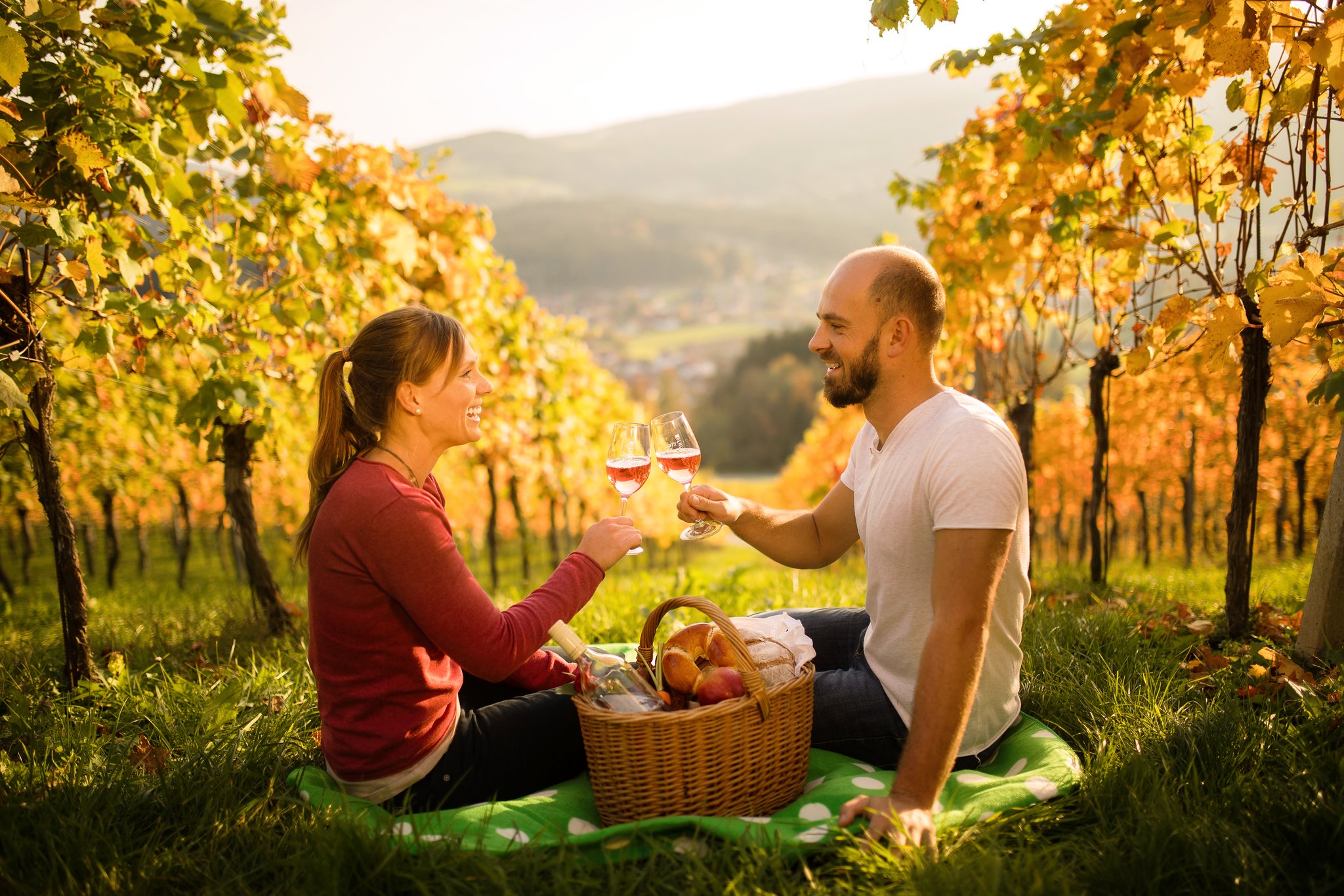 Jahrgangspräsentation: Zwei Drittel der Winzer haben DAC-Weine im ...