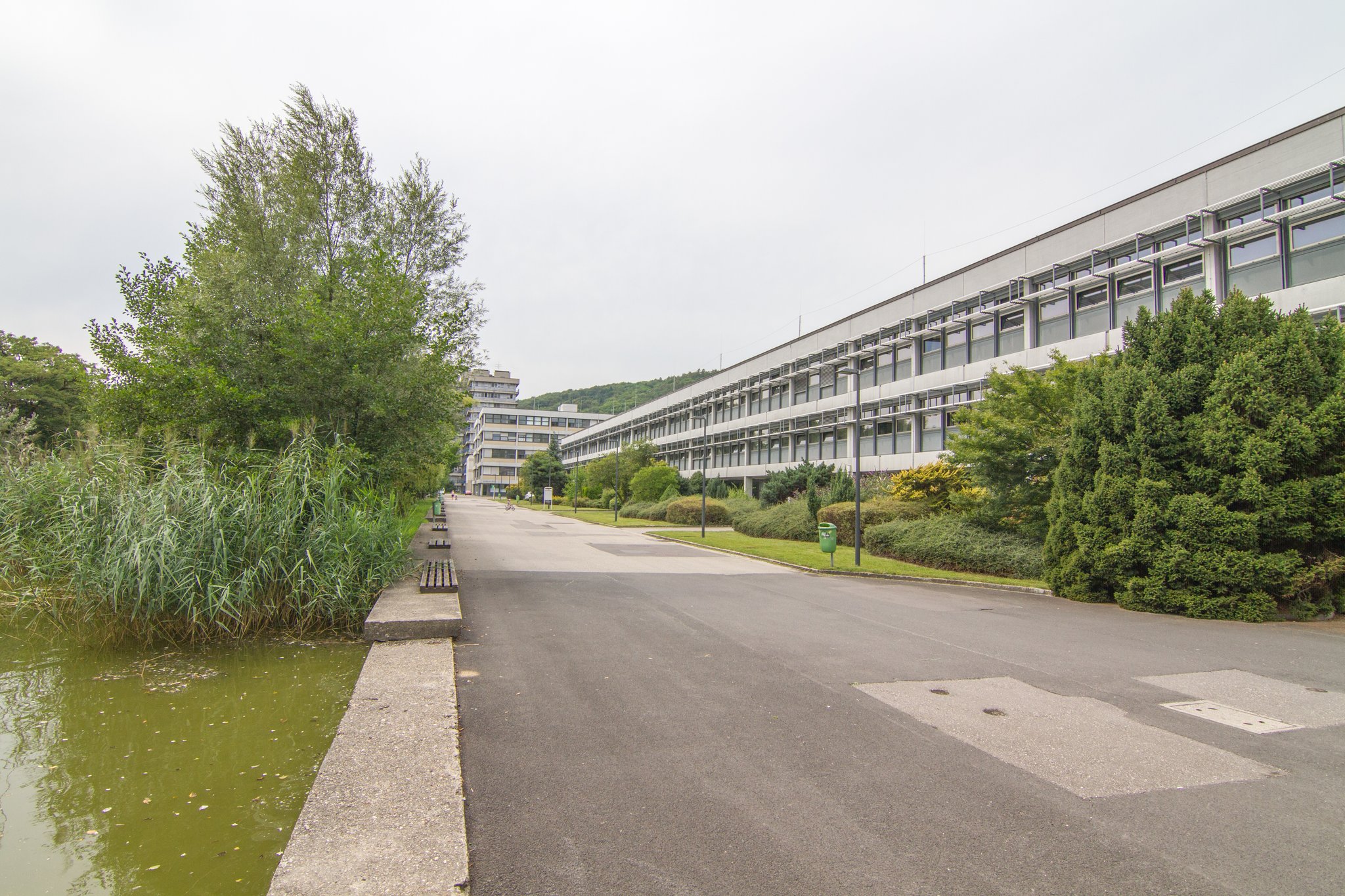 Zwölf neue Studienrichtungen: Business School an der Kepler-Uni - Linz