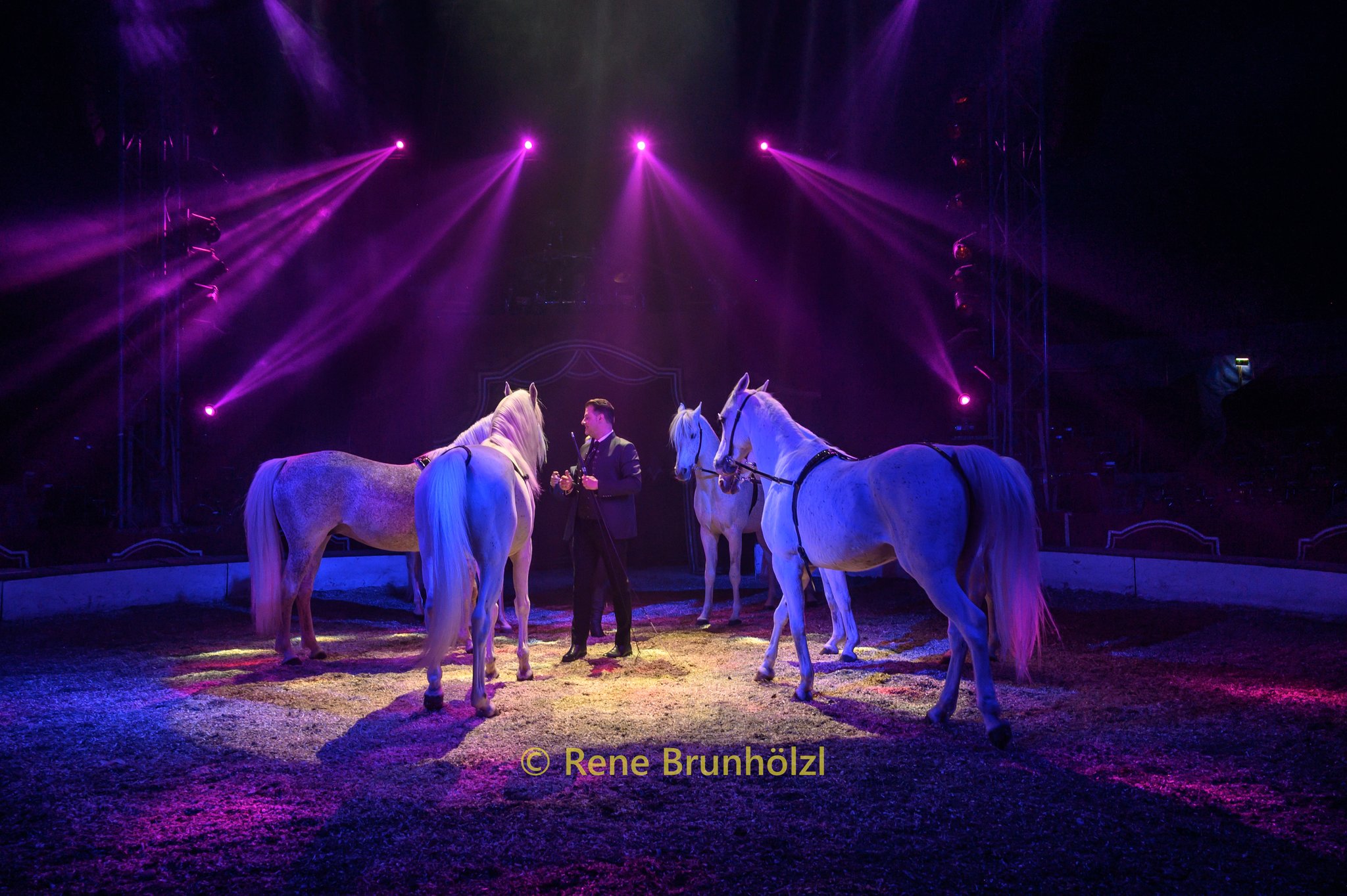 MANEGE FREI: CIRCUS LOUIS KNIE - Gänserndorf