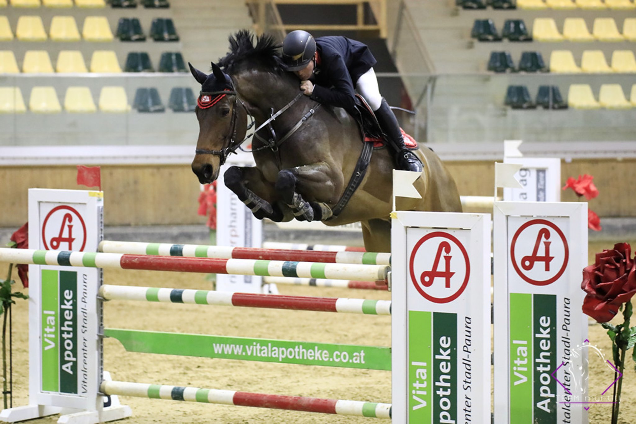 Josef Schwarz hat das „Beste österreichische Springpferd 2018“ - Urfahr ...