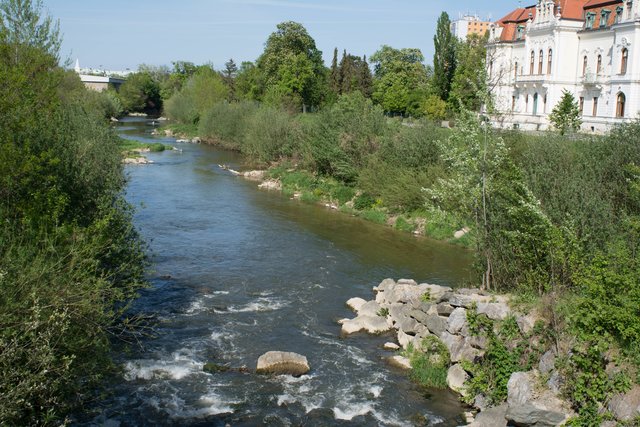 Wo die liesing auf die Schwechat trifft...: Wasser ist Leben! - Schwechat