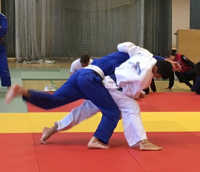 Judo: Sensationeller 2. Platz für Hassan bei der NÖ Landesmeisterschaft ...