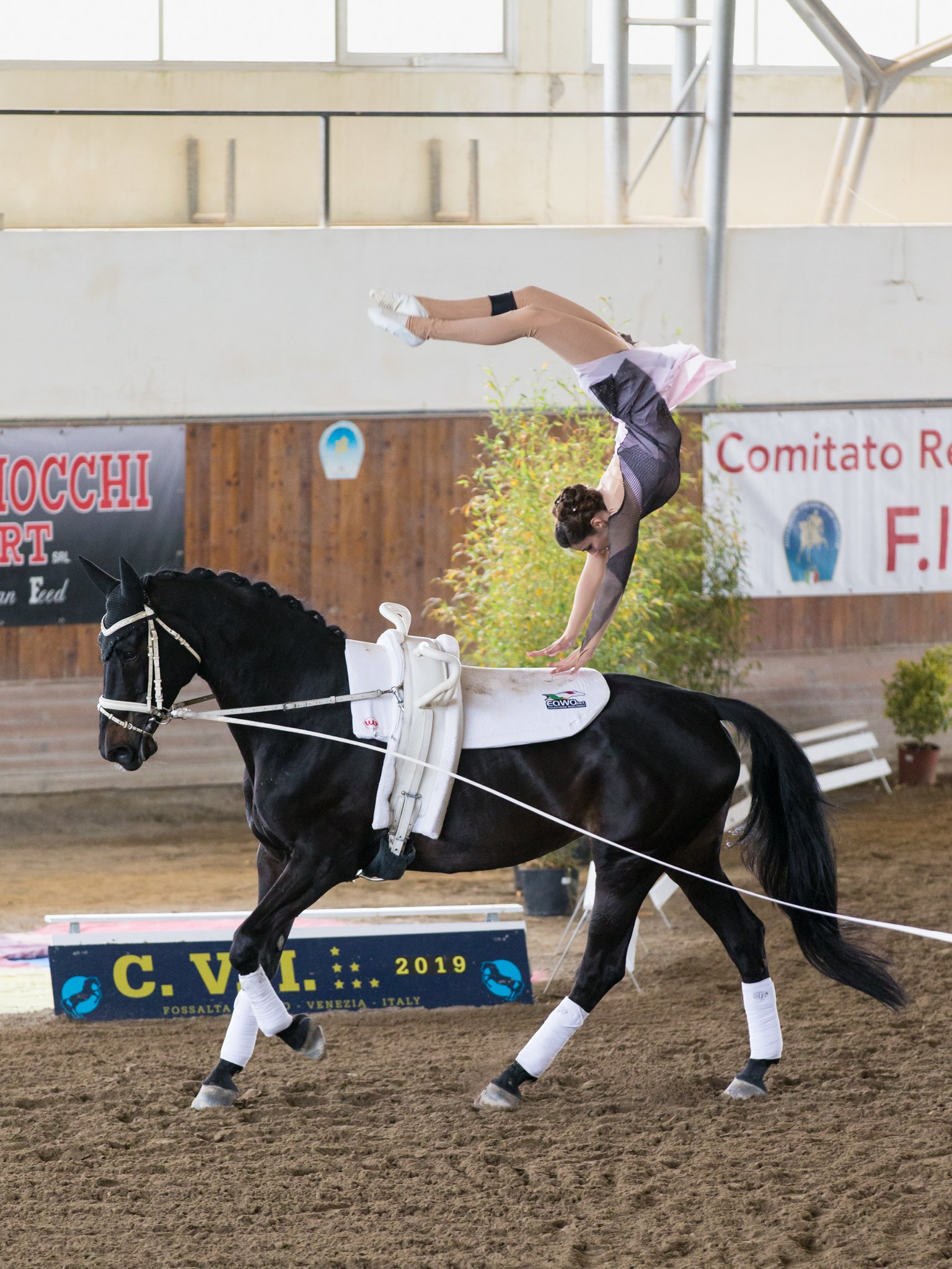 Portogruaro: Daniela Fritz holt zwei Silbermedaillen in Italien ...