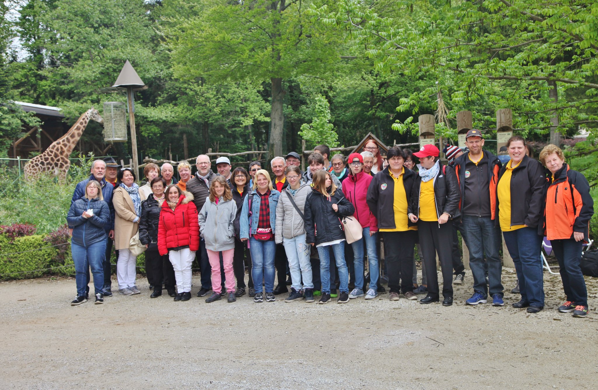 "Herz und Hand Austria": Safari - Erlebnistag im Zoo Laibach - Klagenfurt