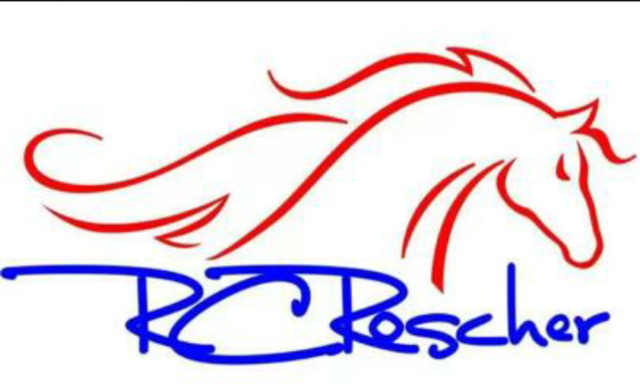 Partytime mit Meilenstein beim "WIEHERN" in der Eventhalle Roscher: Der ...