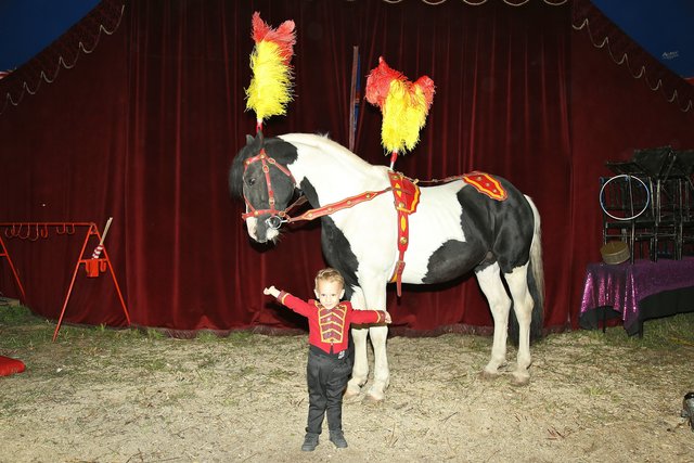 Circus Hans Peter Althoff: Ältester Zirkus der Welt kommt in den Bezirk ...