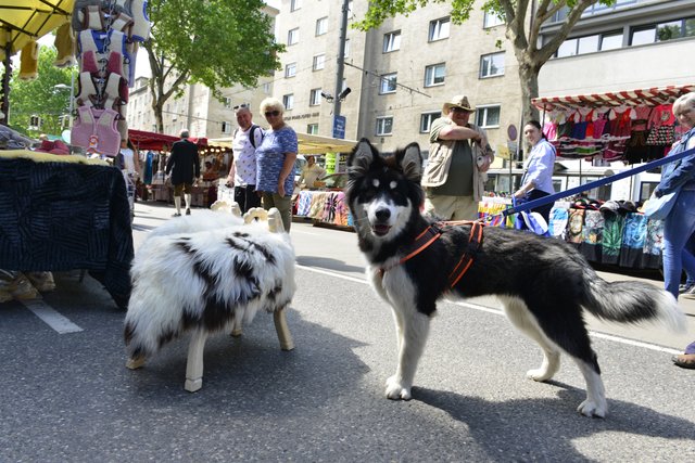 Simmeringer StrassenFest 2019 - Simmering
