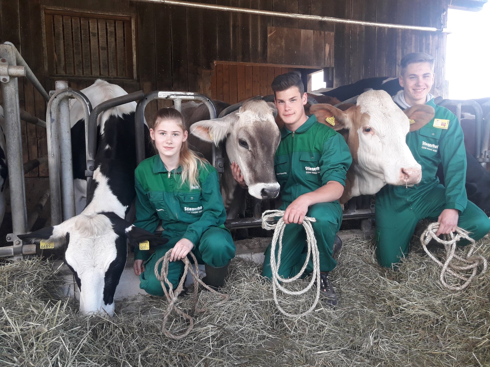 Landwirtschaft: Cow Know-how: Tipps aus dem "Schul-Stall" - Feldkirchen