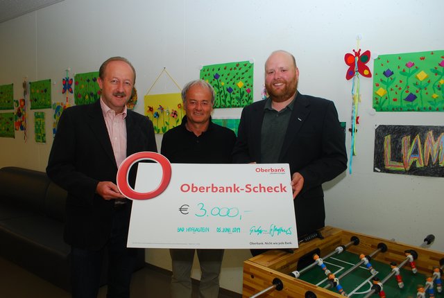 Reinerlös für Allgemeine Sonderschule - Pongau