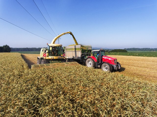 Landwirtschaftliche Arbeiten. - Steiermark