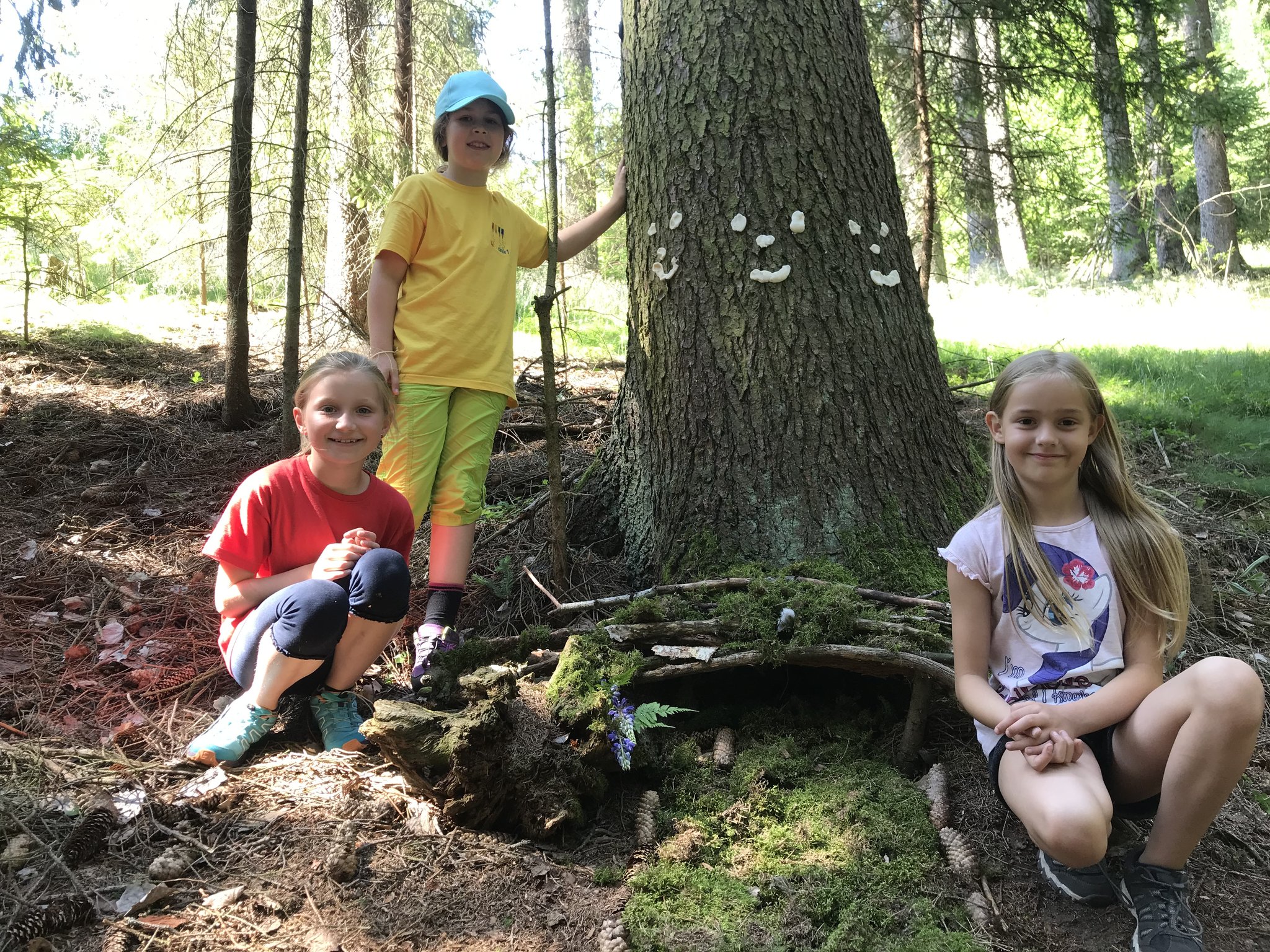 Raus aus der Schule – rein in den Wald - Freistadt