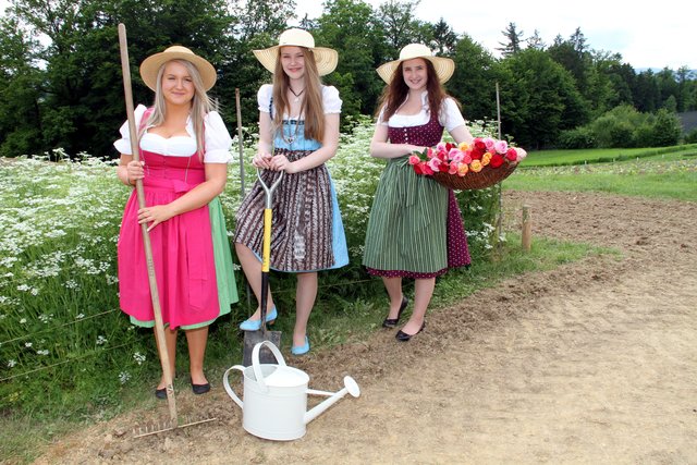 WIESengrün & Himmelblau macht Lust auf den Sommer:: Blumig anbandeln ...