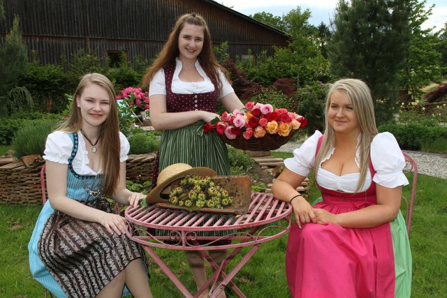 Ein Sommer wie damals bei "WIESengrün & Himmelblau": Im lauschigen ...