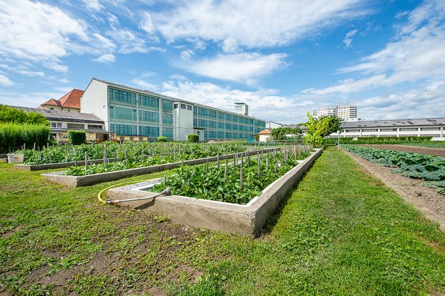 Im Gefängnis wird nicht gesessen – "Graz Inside" in der Justizanstalt ...
