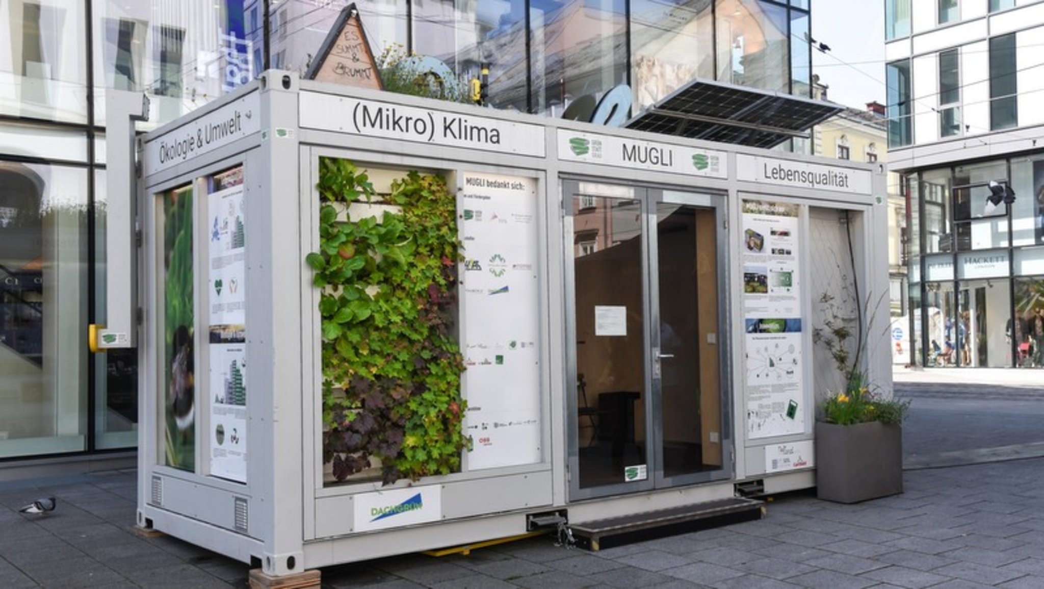 Bauwerksbegrünung: Container am Martin-Luther-Platz informiert - Linz