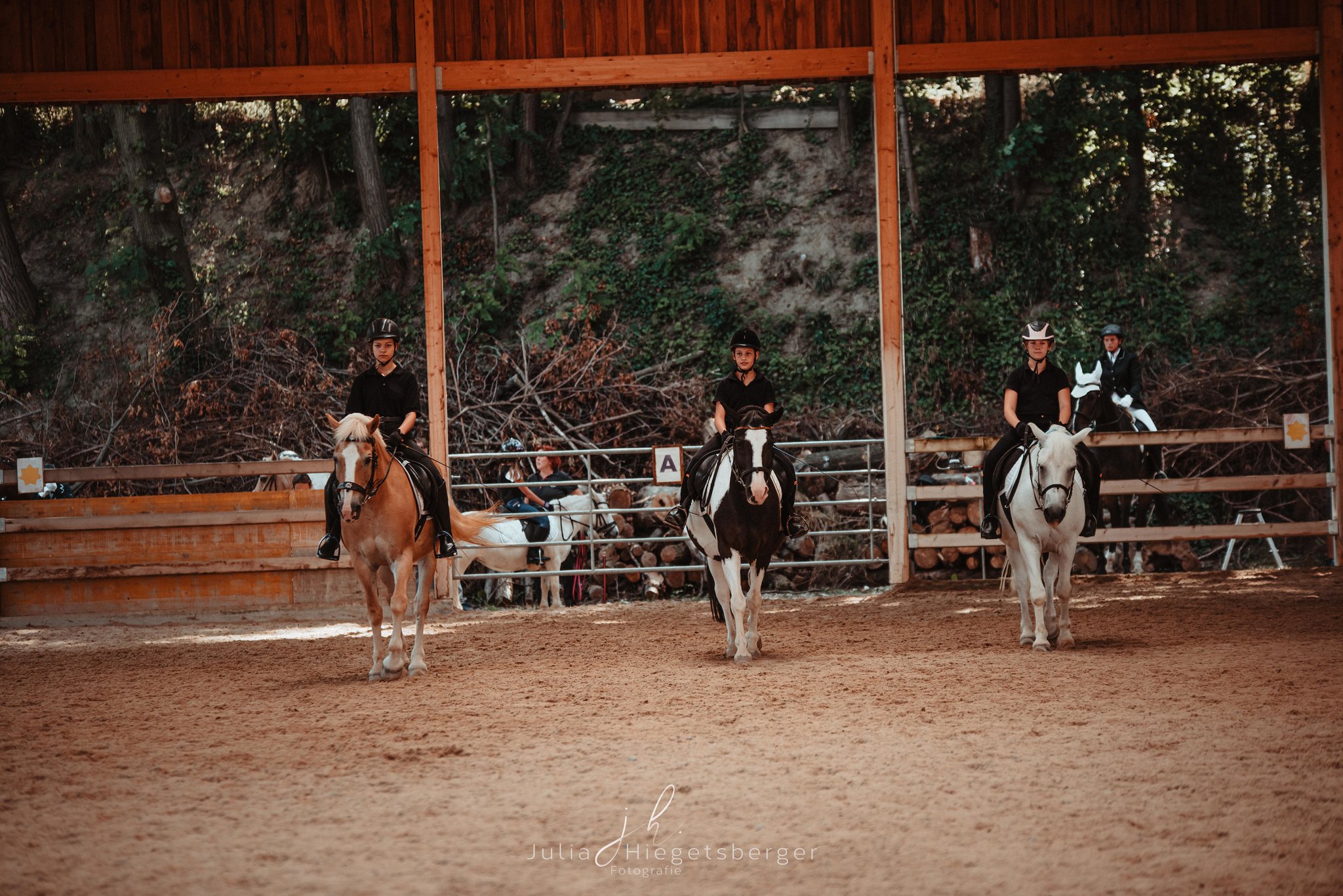 Sonderprüfung im UPSV Hobby Pferd - Tulln