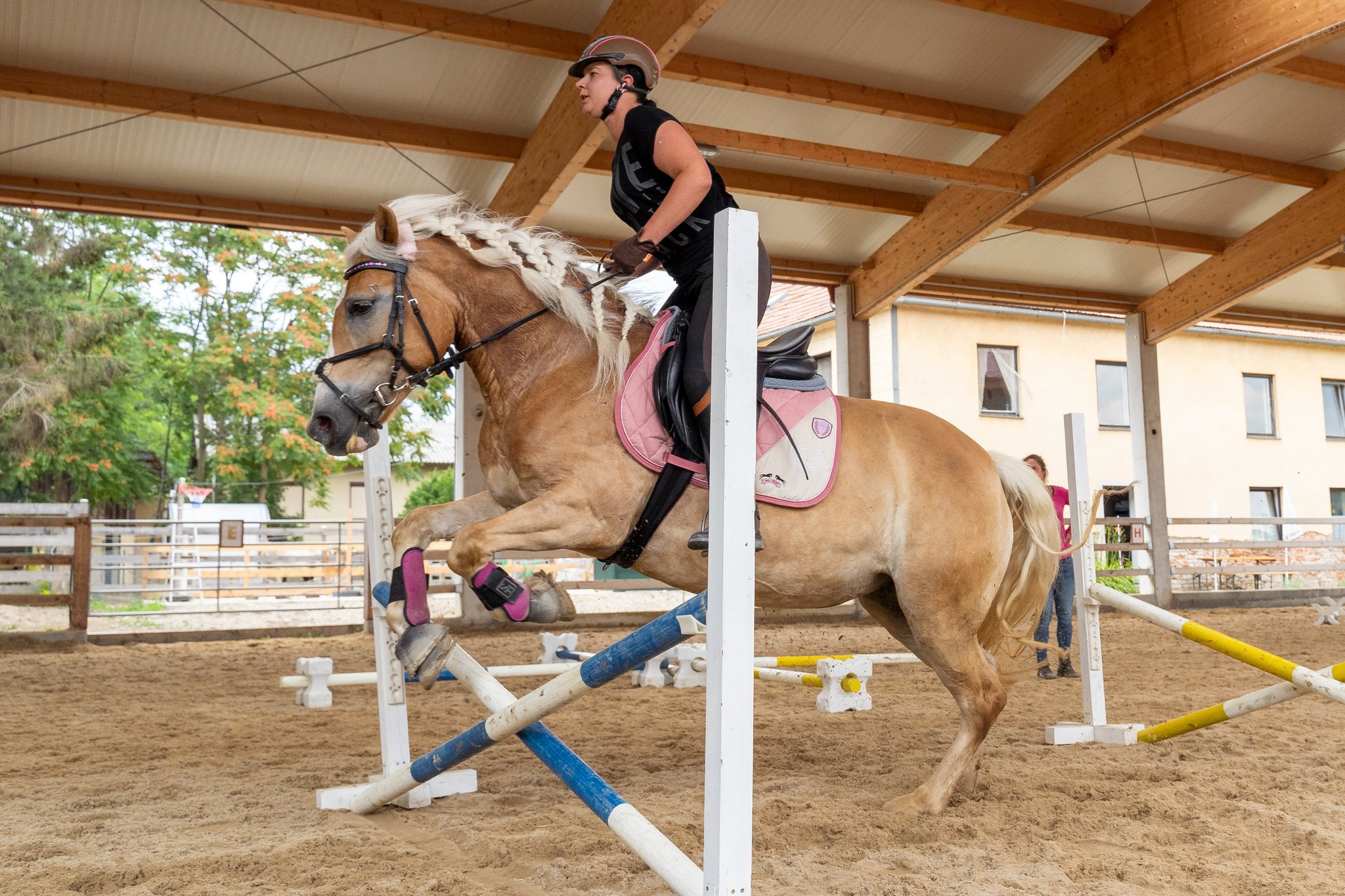 Dressur- und Springkurs mit Nina Sagmeister & Barbara Röder im UPSV ...