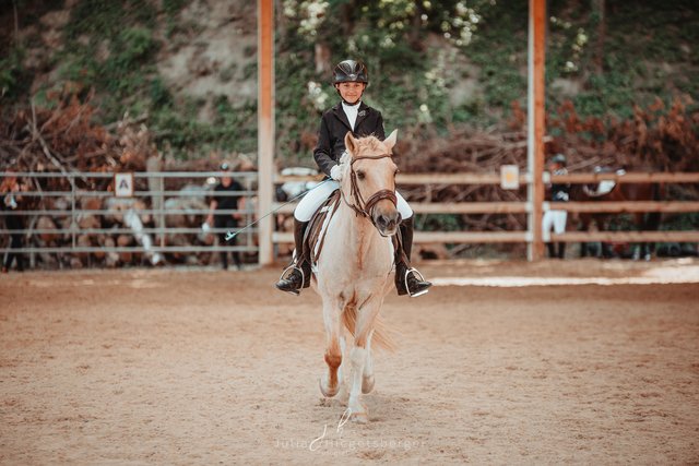 Sonderprüfung im UPSV Hobby Pferd - Tulln