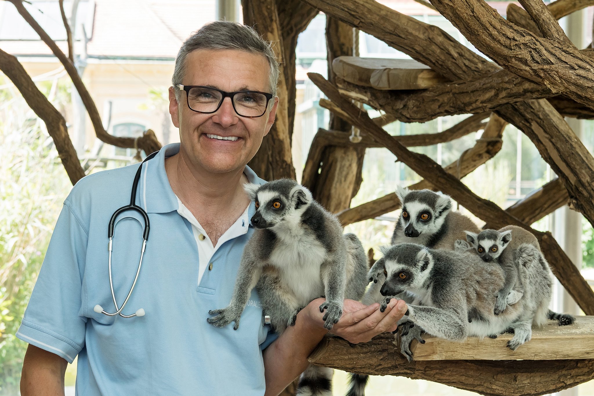 Der Tierarzt des Tiergartens: Der Doktor und das wilde Vieh - Hietzing