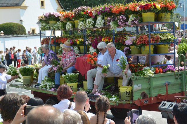Blumenkorso Ebbs: 50 Wägen mit tausenden Dahlien – mit VIDEO - Kufstein