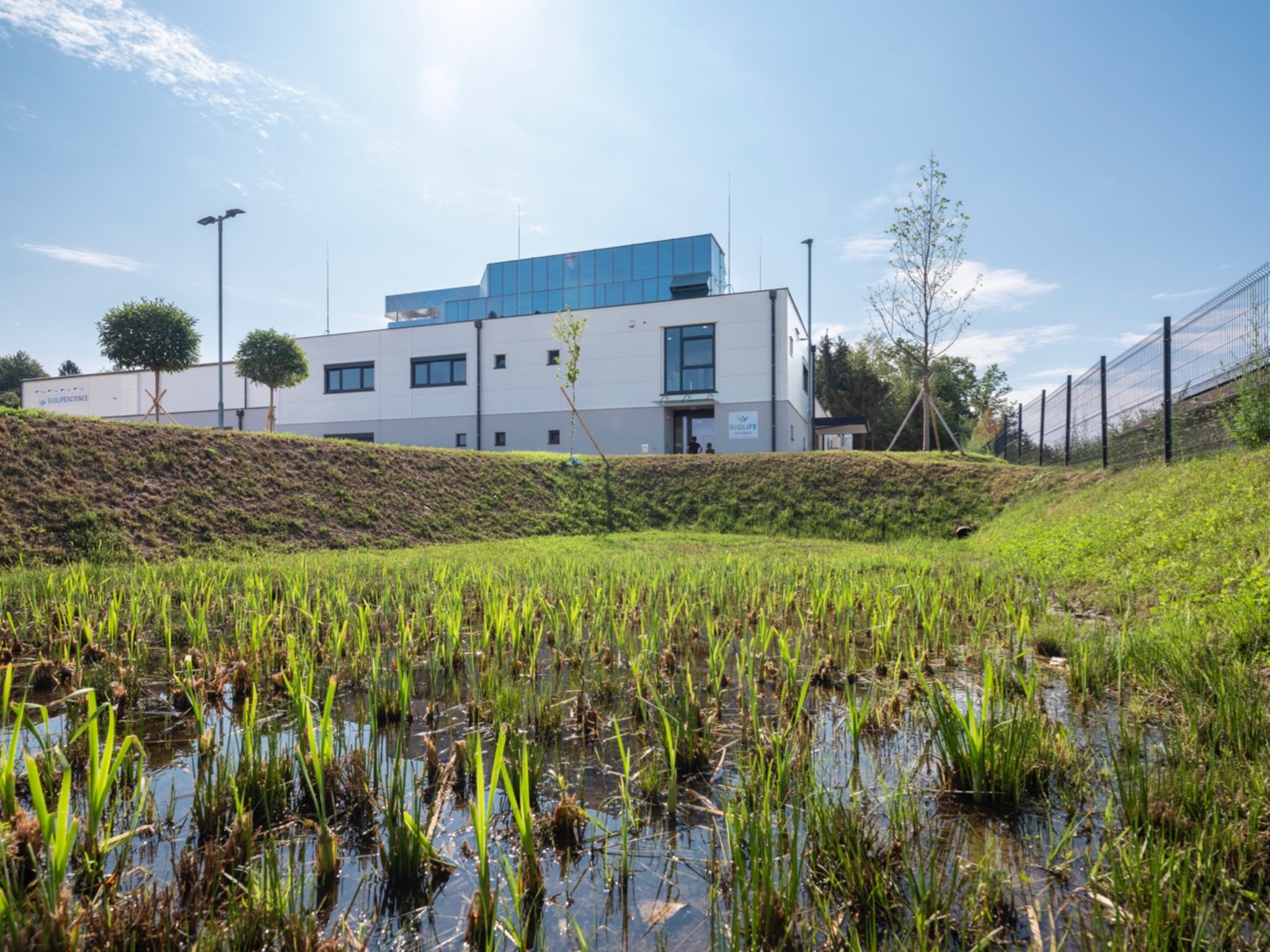 Ringana setzt auf Regionalität - Hartberg-Fürstenfeld