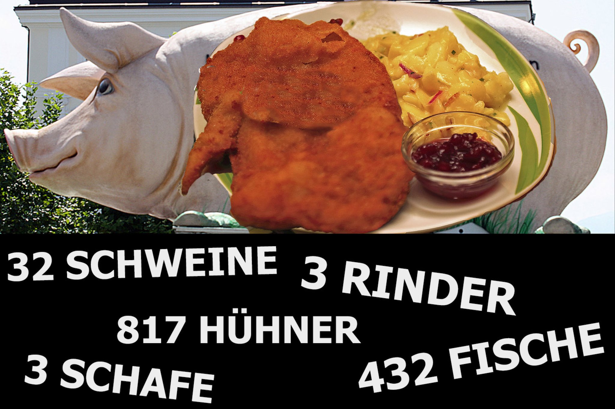 Rund 11 000 000 000 Tiere: So viel Fleisch essen wir - Klagenfurt