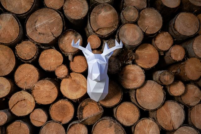 Jungunternehmer starten in OÖ durch: Simons Papercraft: Kreatives ...