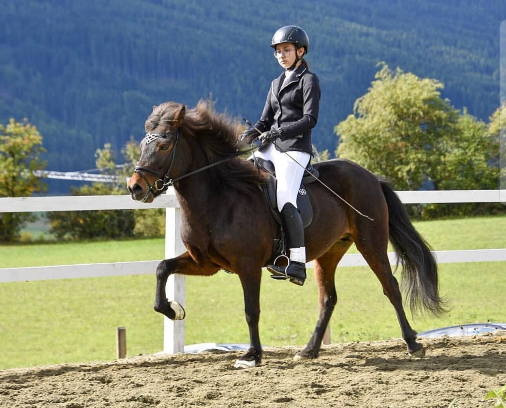 Vereinsmeisterschaft des Islandpferdereitvereins Hestur - Lungau