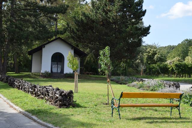 Weinwanderweg Hagenbrunn: Der Weg zum Wein führt in Hagenbrunn über den ...