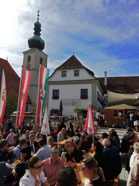 Siening Erntedankfest 2019 - Steyr & Steyr Land