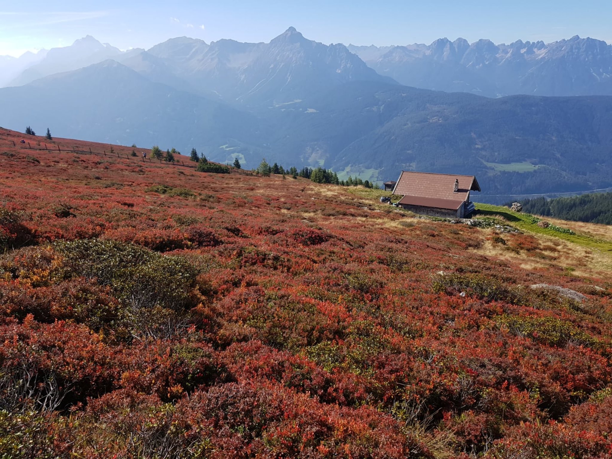 Herbst: Ein Blick auf die Serles - Stubai-Wipptal