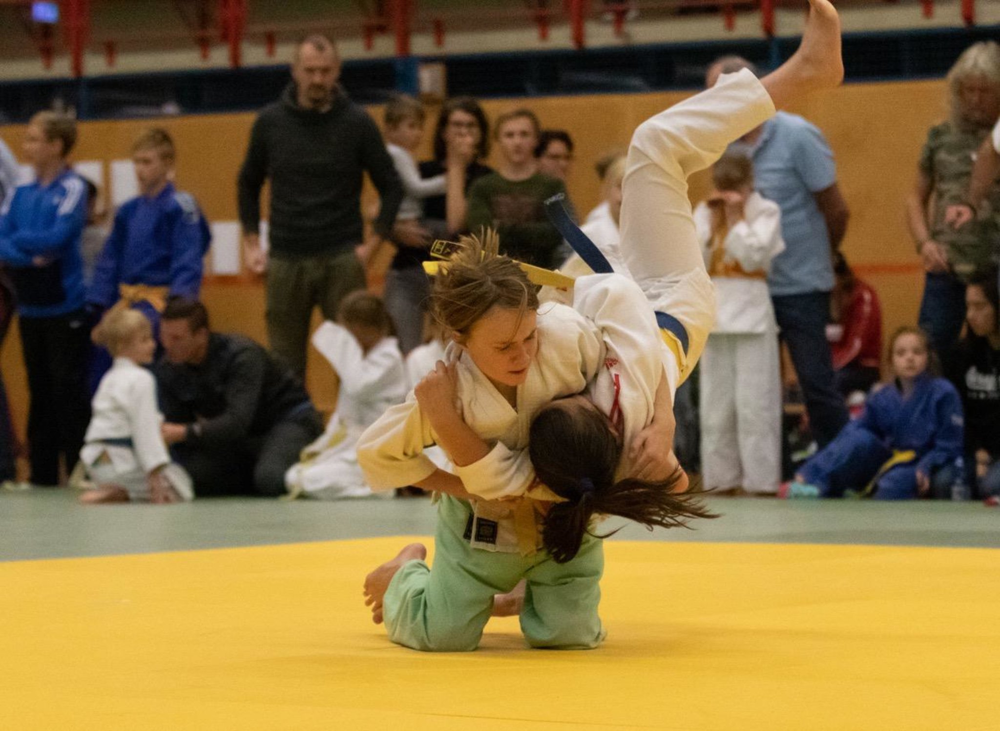 Sportliche Erfolge - Klosterneuburg