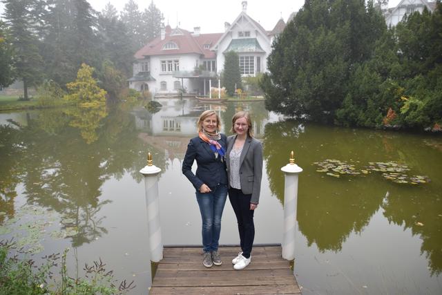 Schloss Schönau: wachgeküsst - Steinfeld