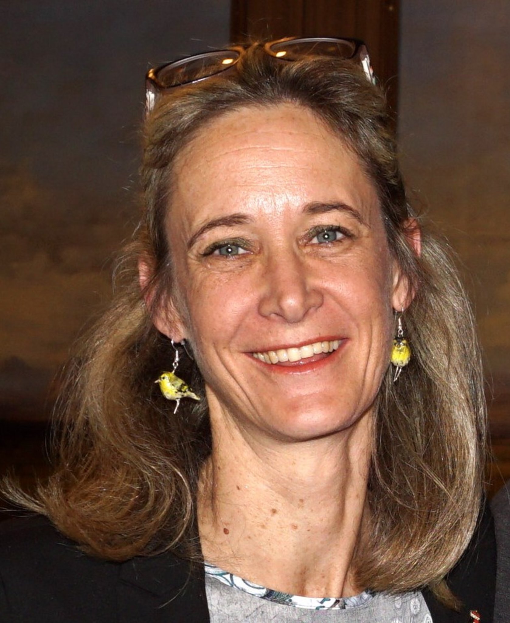 Humer-Vogl: Grüne fordern Verbot privater Feuerwerke und Laubgebläse ...