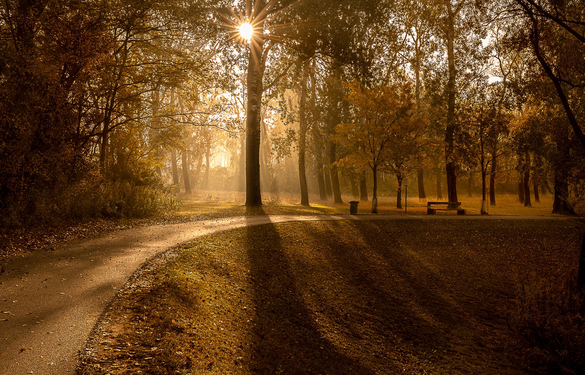 Im Aubad gibt es auch jetzt noch tolle Fotomotive: Aubad Tulln - Tulln