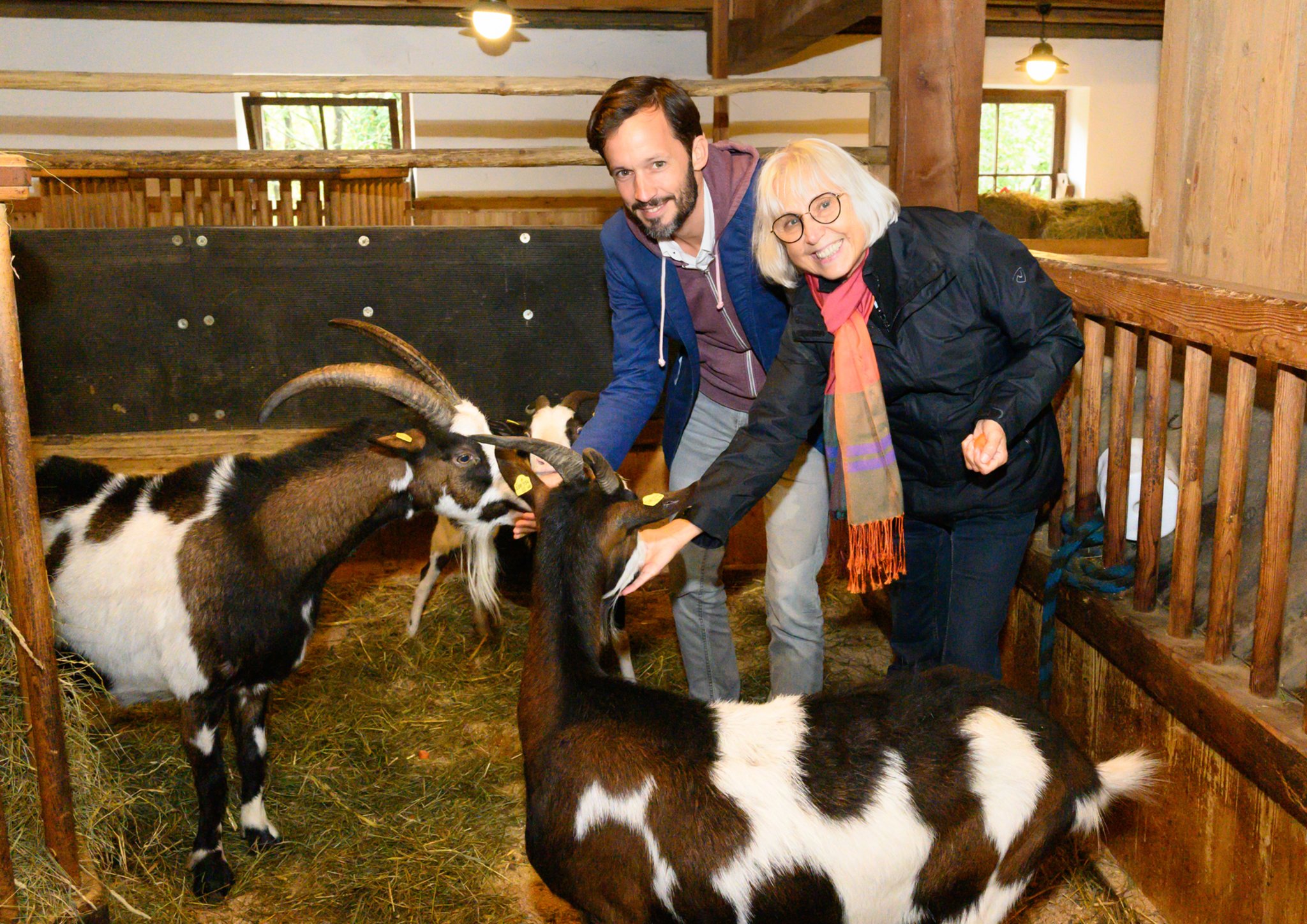 "Austrias next Top-Ziege" im Tiergarten Schönbrunn: Caritas startet ...