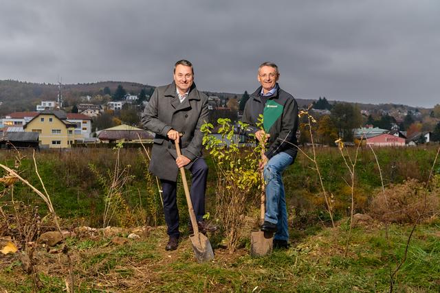 Gablitz Naturoase: Neue Waldoase für Gablitz - Purkersdorf
