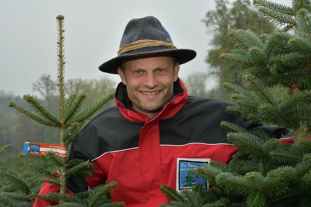 Weihnachtsgewinnspiel: Mitmachen & Christbaum aus Garsten gewinnen ...