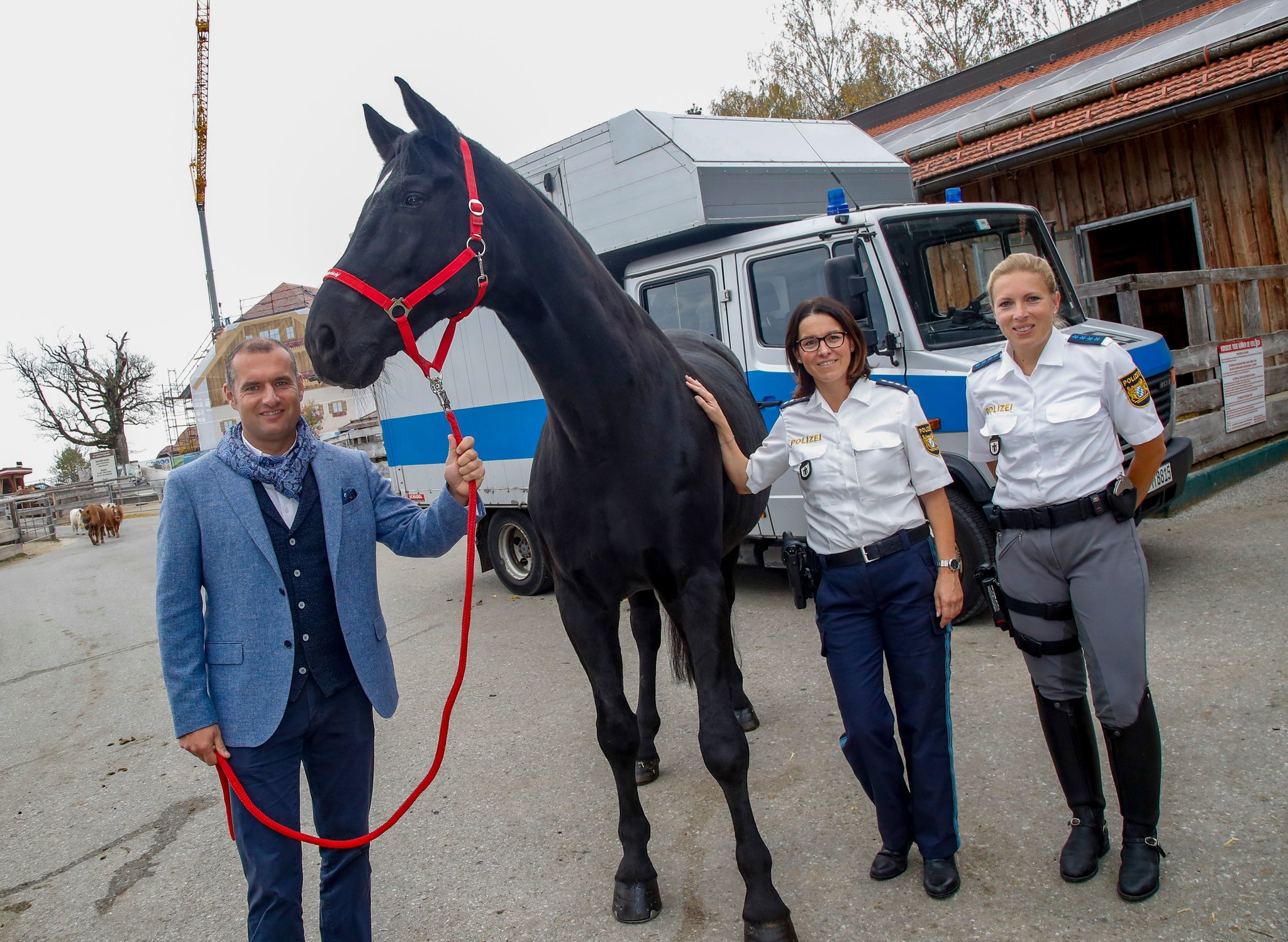 Berittene Polizei in Wien ist Geschichte: Gut Aiderbichl bietet ...