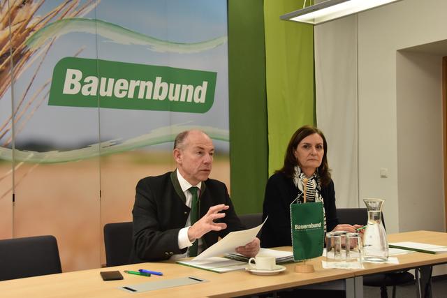 Maria Sauer - Thema auf meinbezirk.at