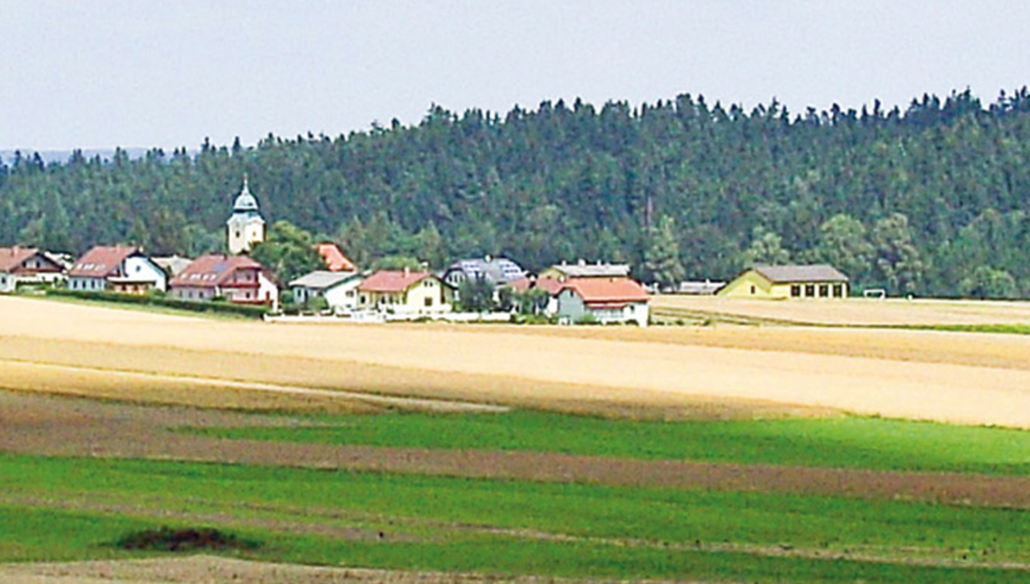 Waldenstein wird grüner - Gmünd